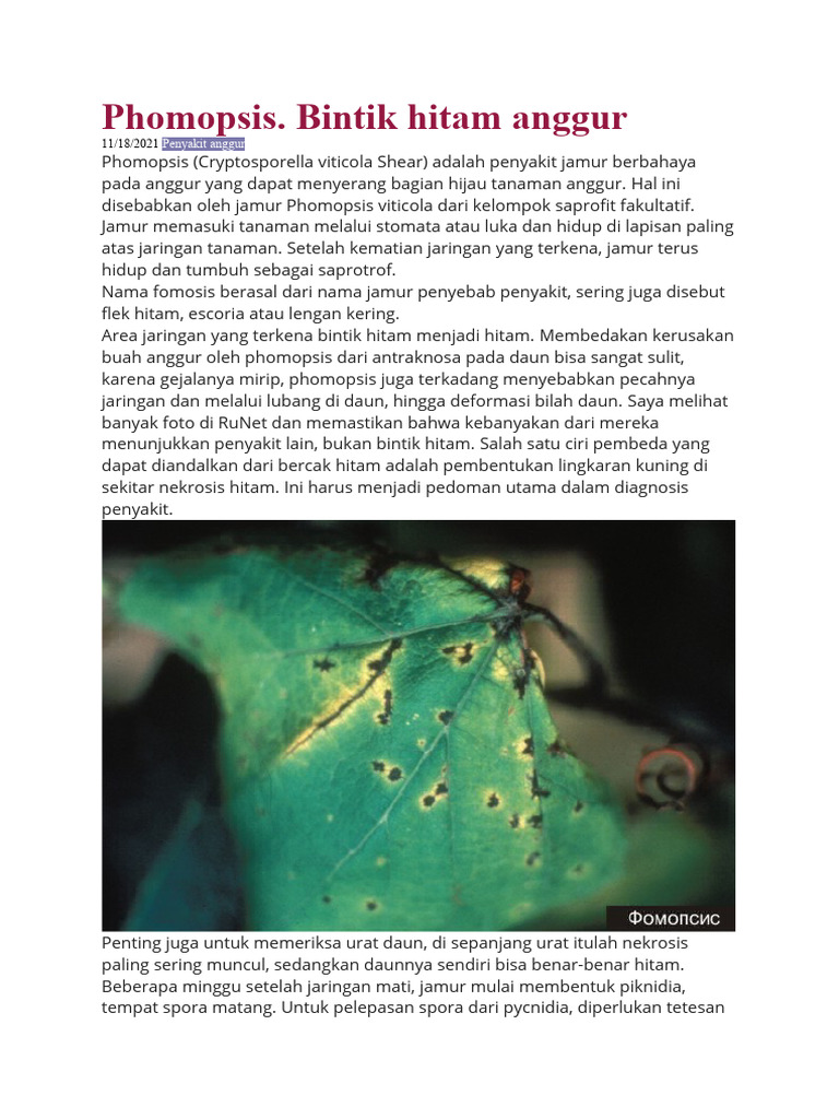 Pencegahan dan Pengendalian Phomopsis | PDF