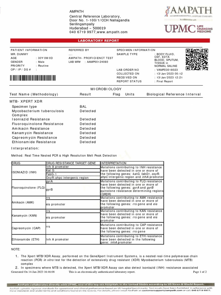 GeneXpert XDR Dummy Report (140123) | PDF | Mycobacterium | Clinical ...