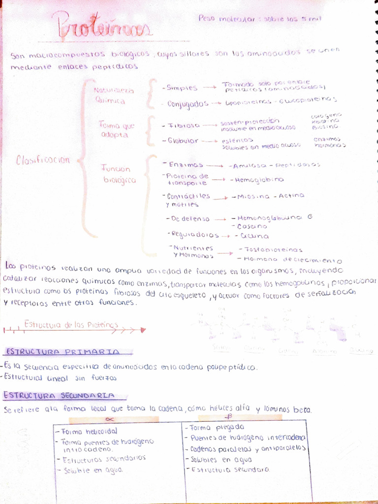 Chavez - Ariana - Tarea 2 Bioqui | PDF