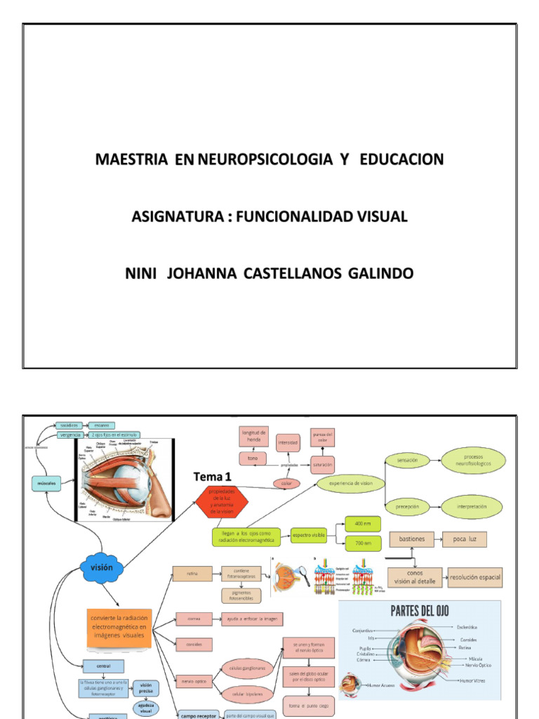 Mapas de Estudio Maestria Neuropsicologia UNIR | PDF