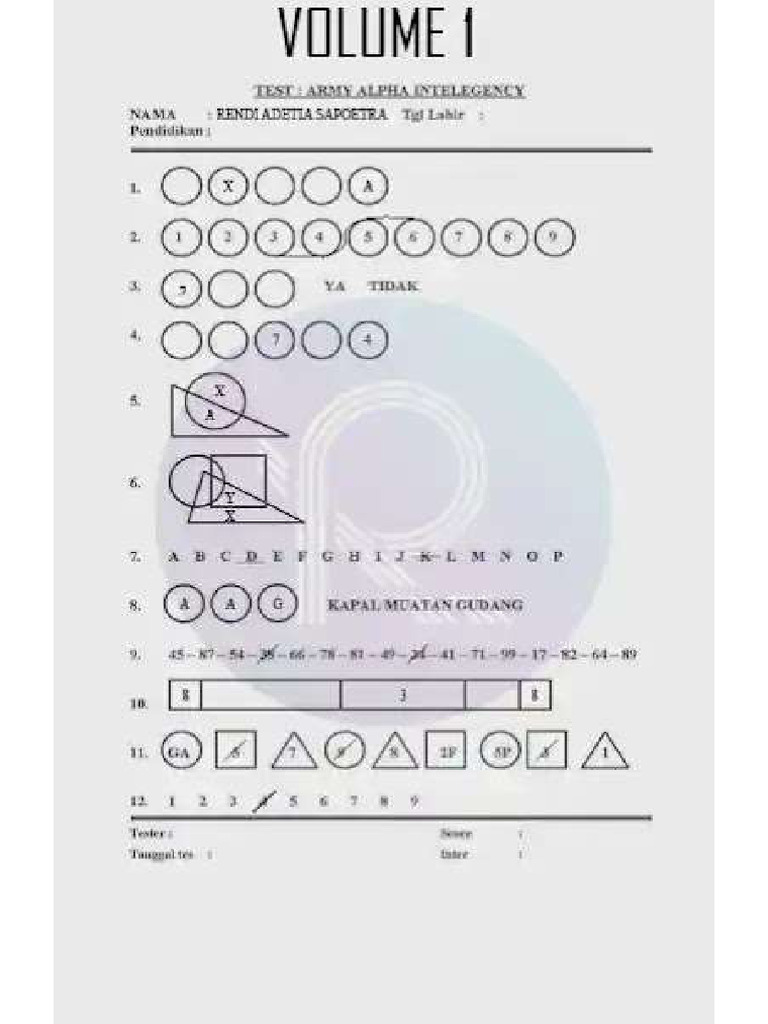 Army Alpha Volume 1 | PDF