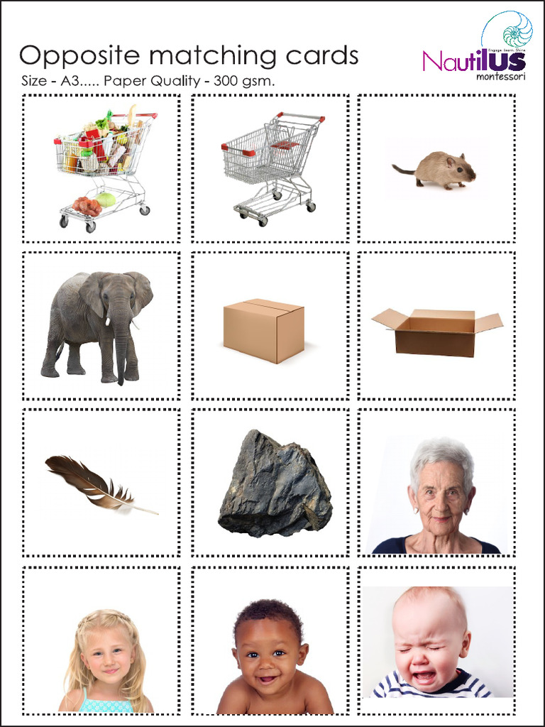 Nautilus - Opposite Matching Cards | PDF