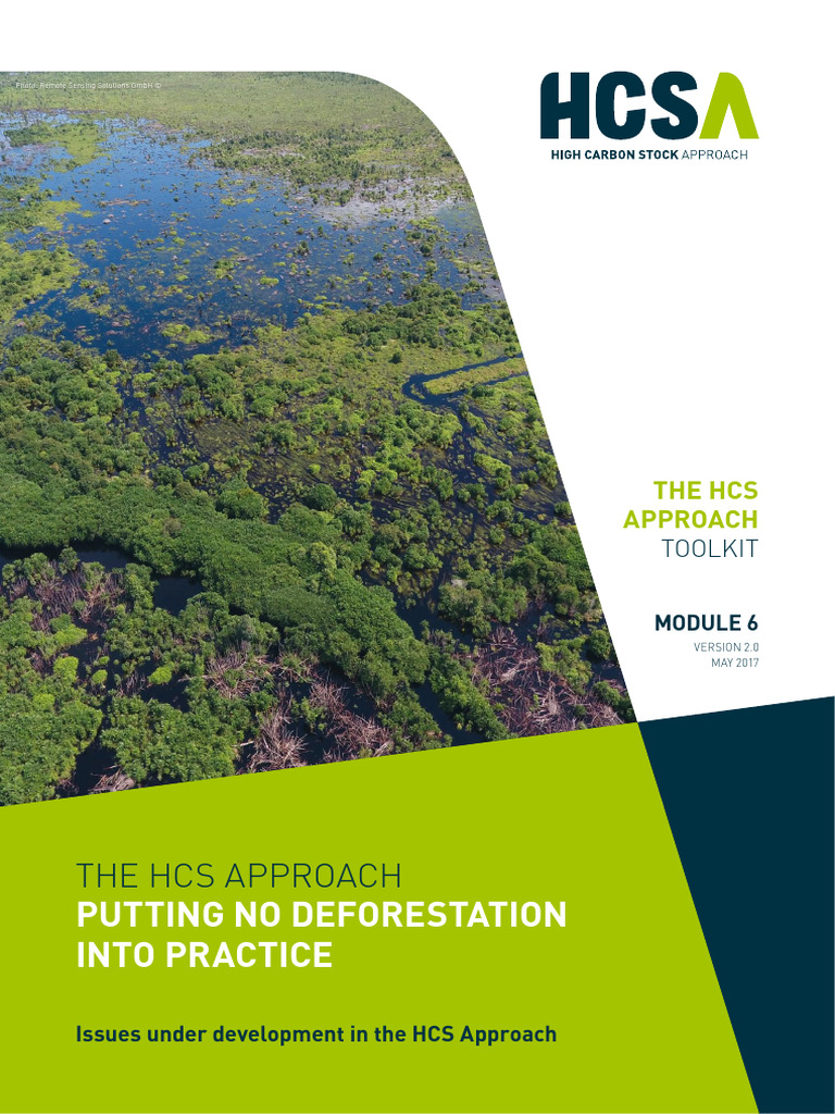 Module 6 - Issues Under Development in The HCS Approach | PDF ...