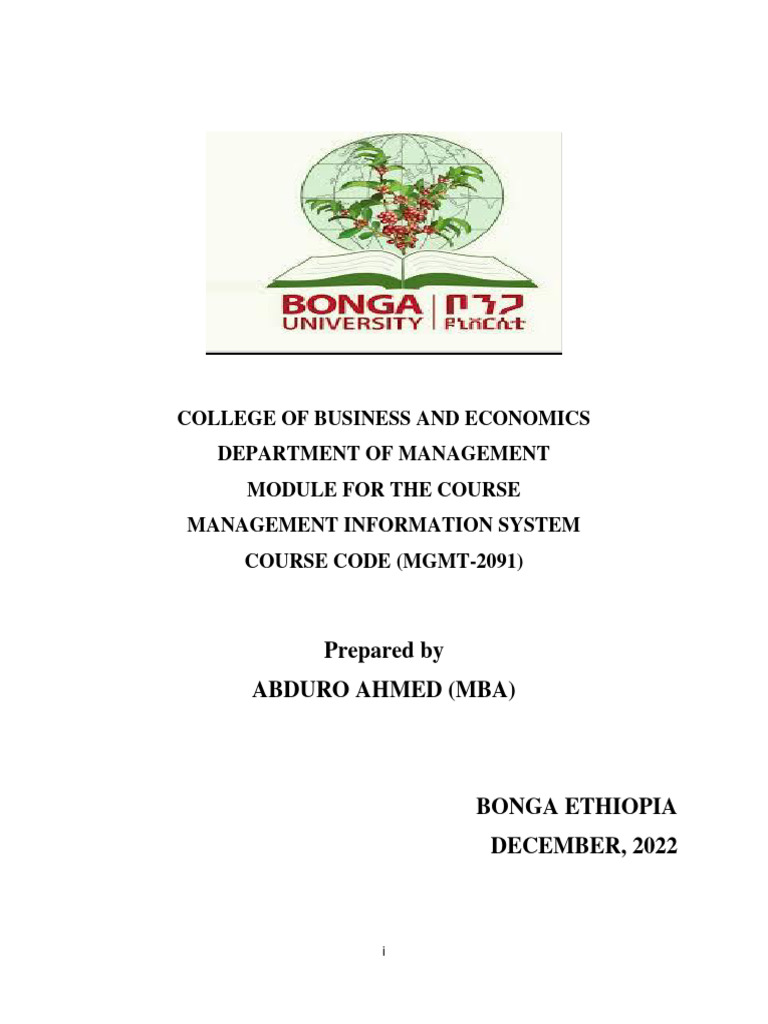 Bonga Management Information System | PDF | Information System | System