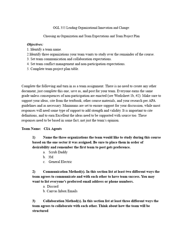 Team Project Plan Ogl 355 | PDF | Swot Analysis | Business