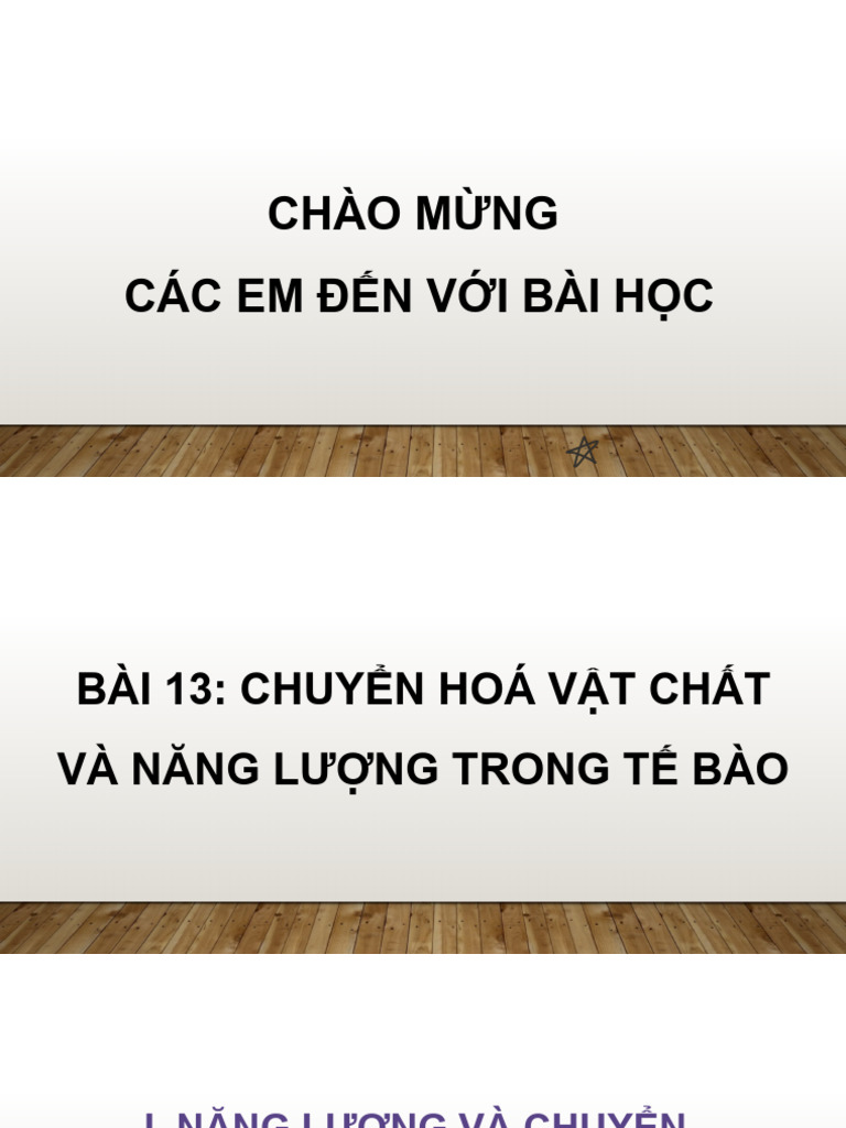 Bai 13 - Chuyen Hoa Vat Chat Va Nang Luong Trong Te Bao - CTST | PDF