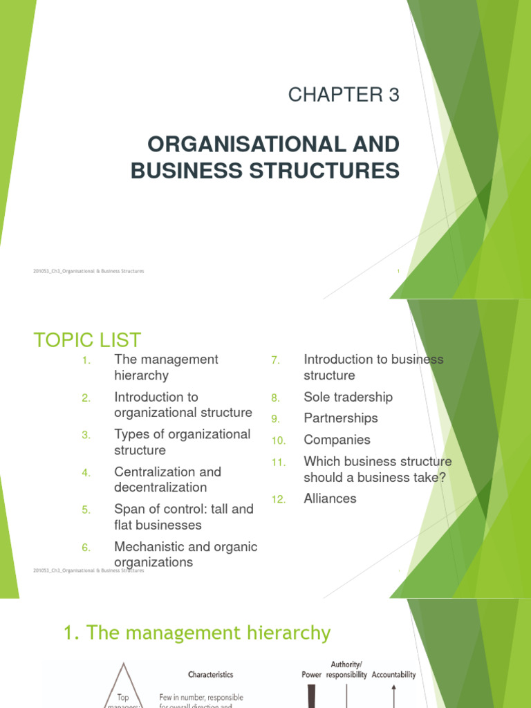 Business Structure Essentials | PDF | Partnership | Organizational Structure