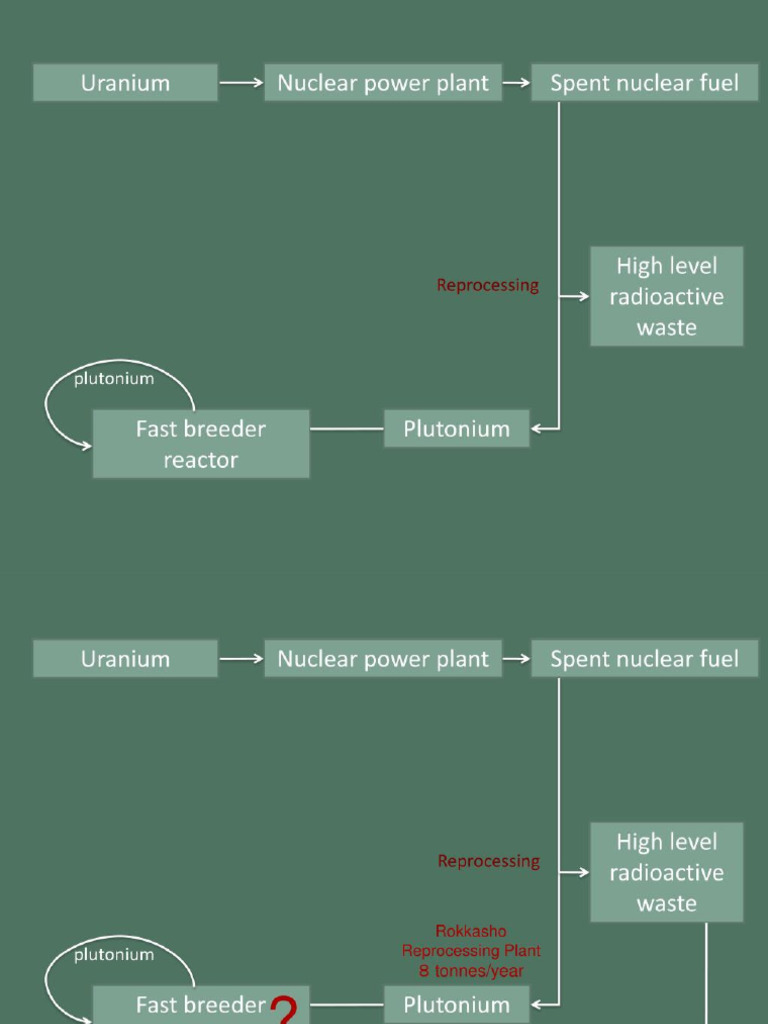 Nuclear PP | PDF