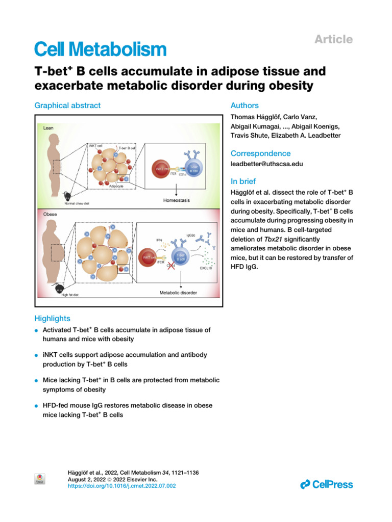 2022 T-bet B cells are activated in adipose tissue | PDF | Adipose Tissue | Inflammation