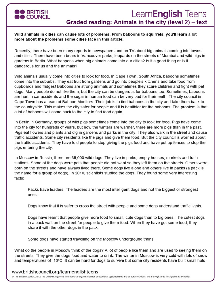 Animals in The City Level 2-Text Only 4 | PDF | Pig