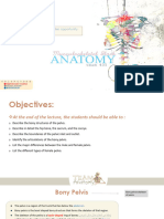 Sacral OMM Guide | PDF | Anatomical Terms Of Motion | Human Anatomy