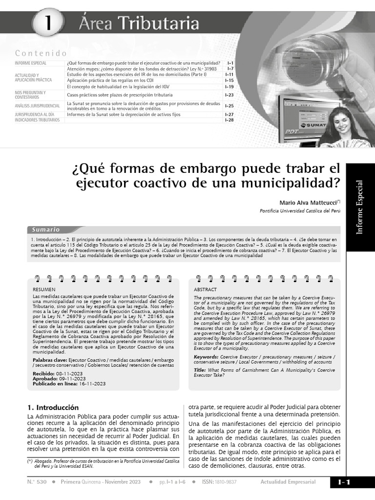 Formas de Embargo en Municipalidades | PDF | Mandato | Justicia