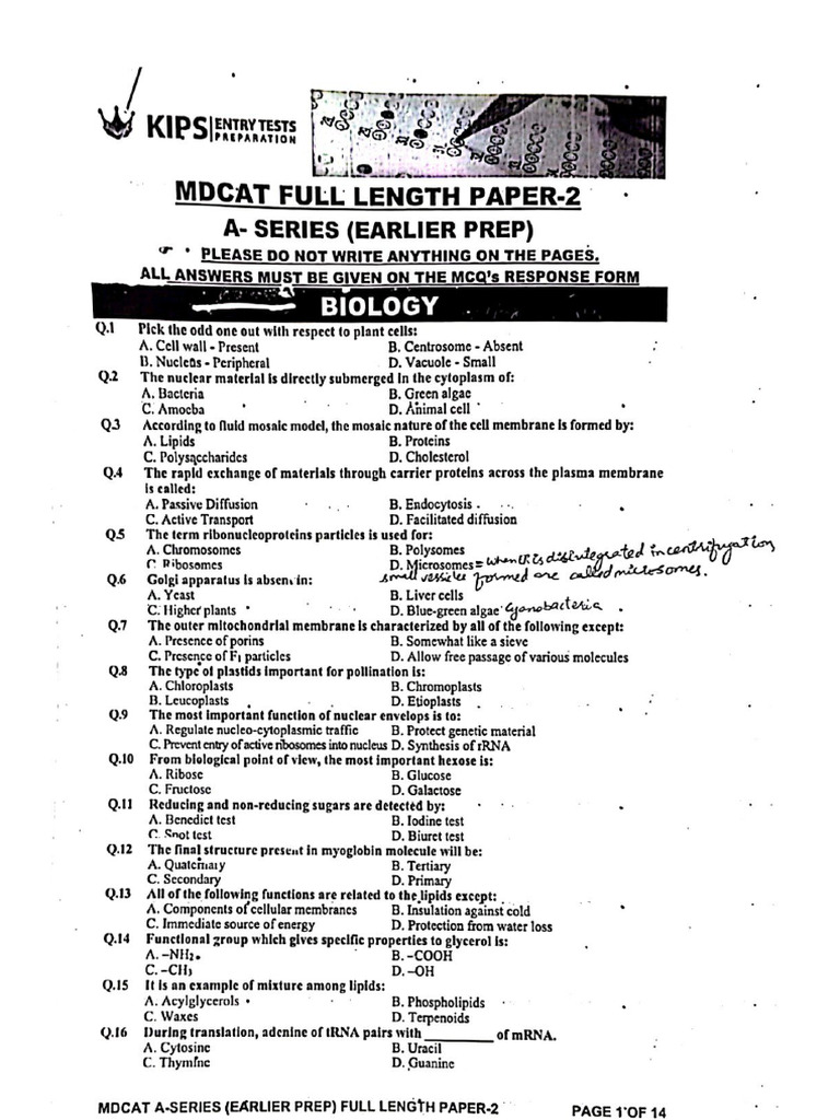 Kips FLP 2 A Series PDF | PDF