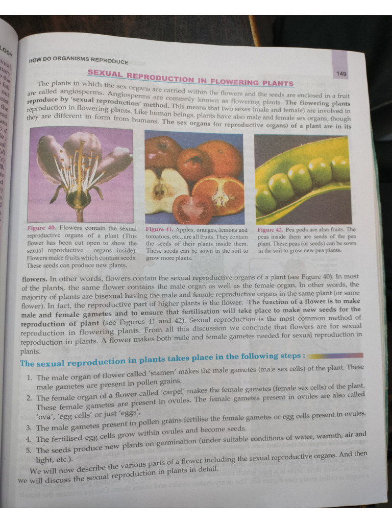 Sexual Reproduction Class 10 | PDF