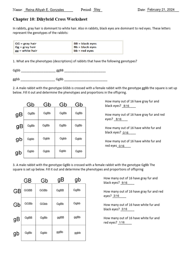 Genetics Problem Set | Download Free PDF | Zygosity | Genotype