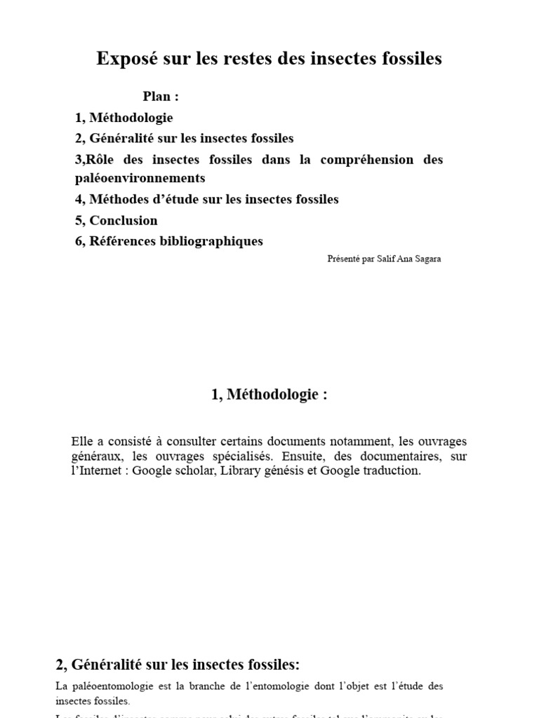 Exposé Sur Les Restes Des Insectes Fossiles | PDF | Fossile | Insectes