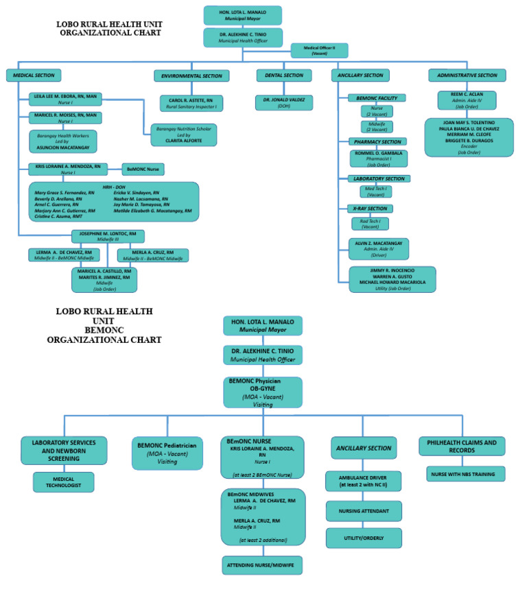 Lobo Rural Health Unit Organizational Chart | Download Free PDF ...
