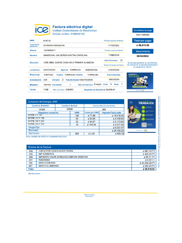 ICE Factura | PDF