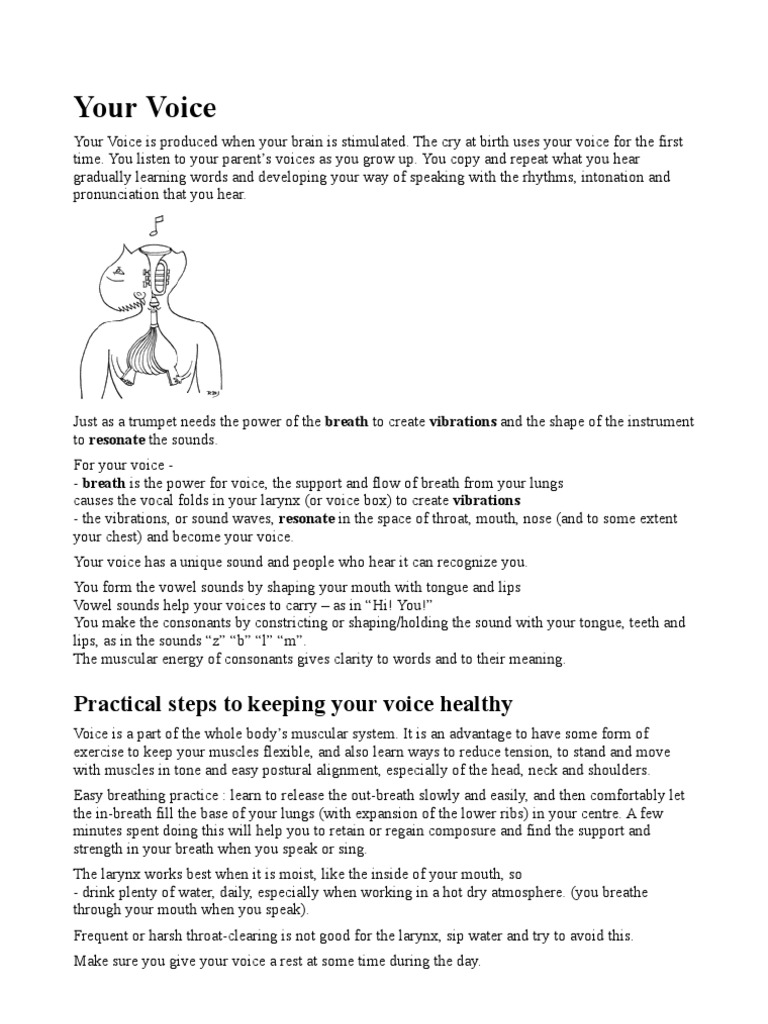 Practical Steps To Keeping Your Voice Healthy | PDF | Human Voice ...