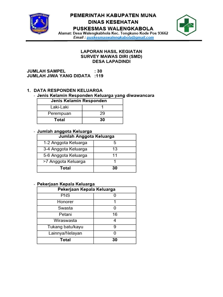 REKAP SMD-MMD Desa Lapadindi 2024 | PDF | Kesehatan Holistik | Gaya Hidup
