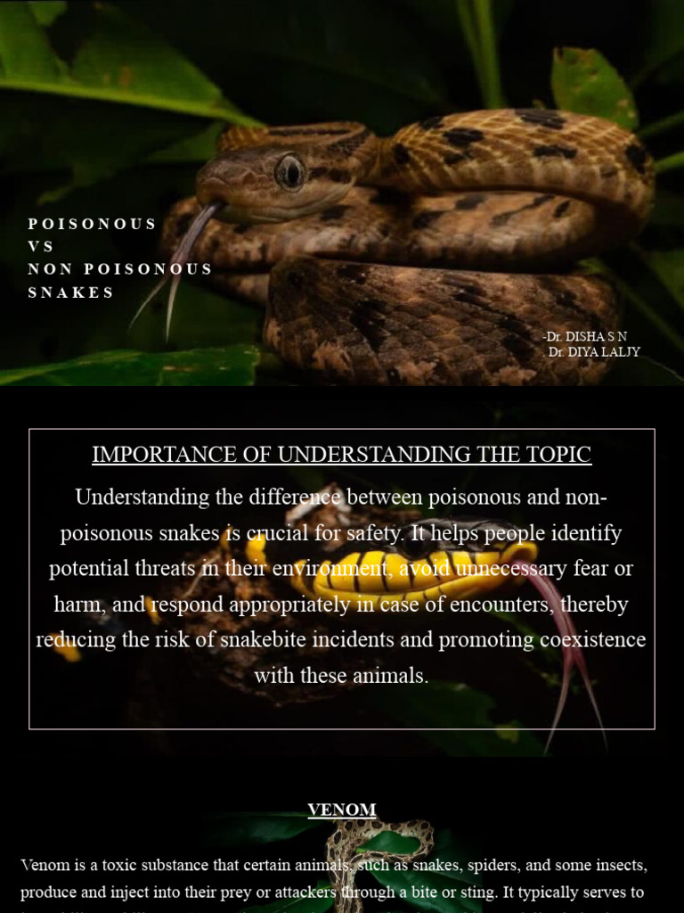 Snakes | PDF | Venom | Poison