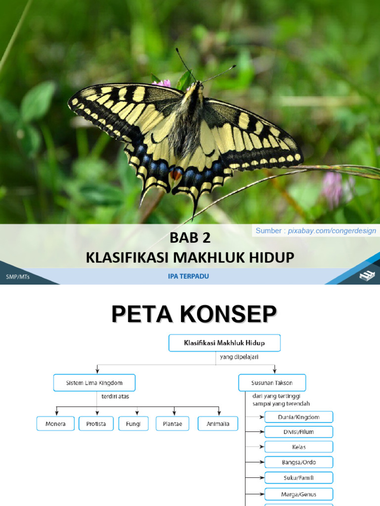 IPA Kelas 7 Bab 2 Klasifikasi Makhluk Hidup | PDF