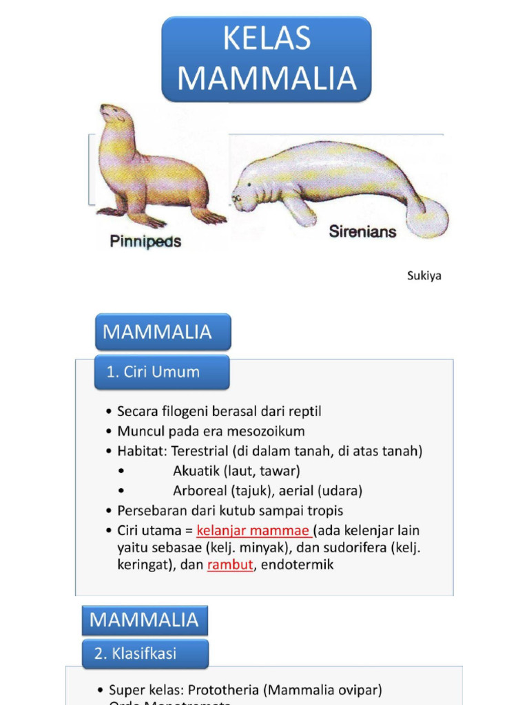Mammalia Sukiya | PDF