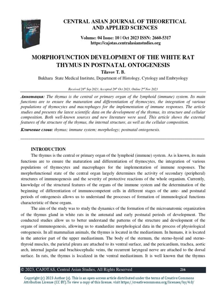 Morphofunction Development of The White Rat Thymus in Postnatal ...