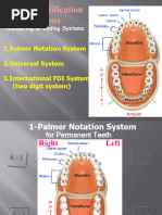 Dental Tooth Numbering Systems Explained | PDF | Dentistry | Dental Anatomy