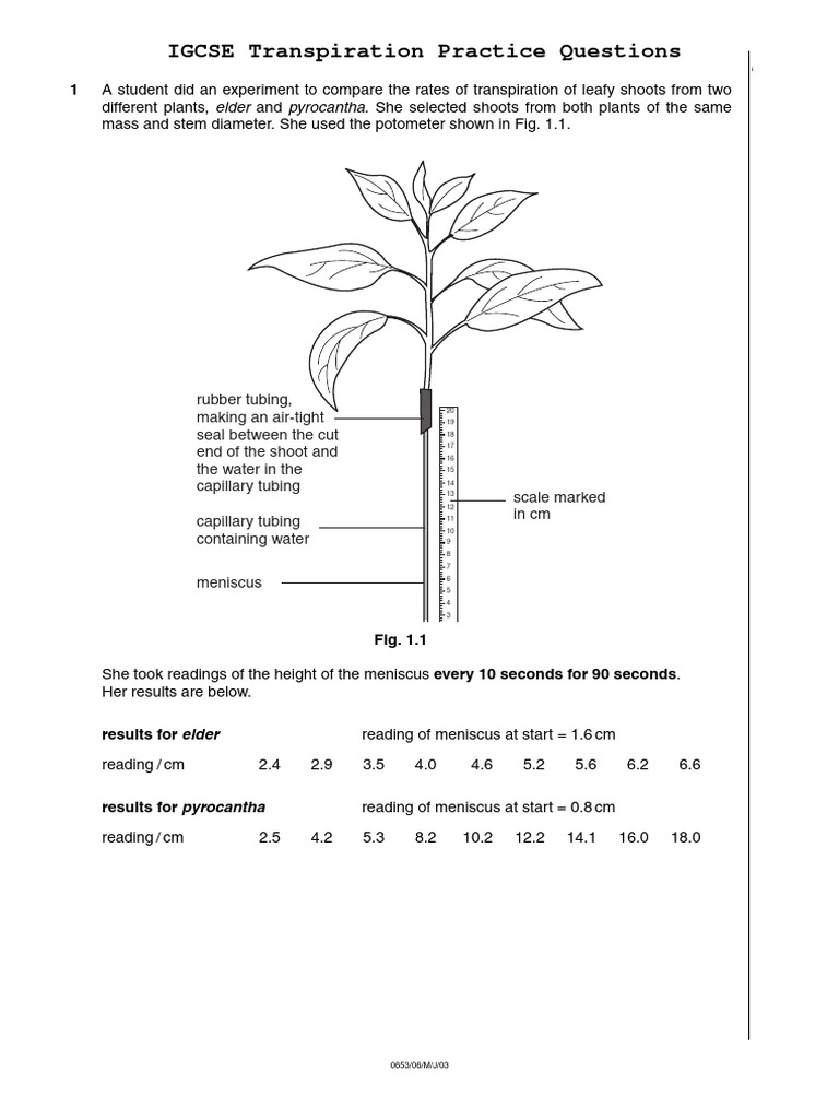 0654 Transpiration Questions | PDF | Leaf | Plants