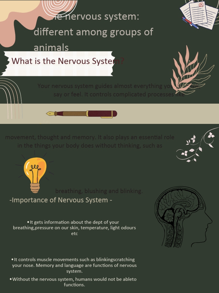 Animal Nervous System Differences | PDF | Nervous System | Central Nervous System