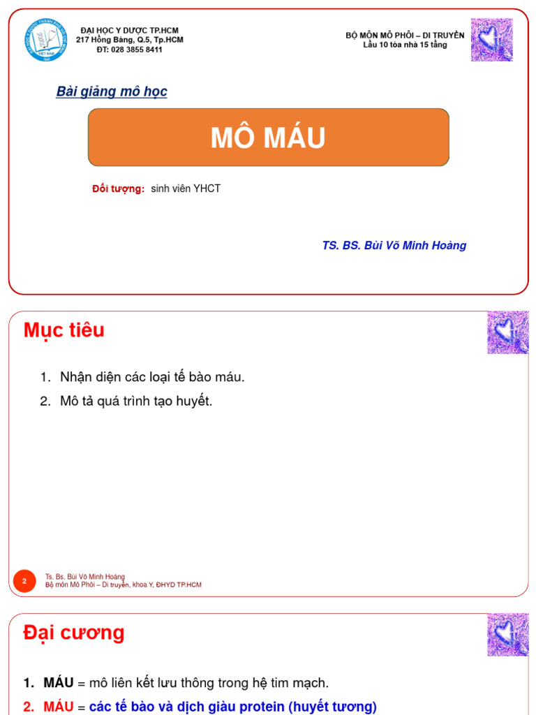 BG MoMau MoPhoi | PDF