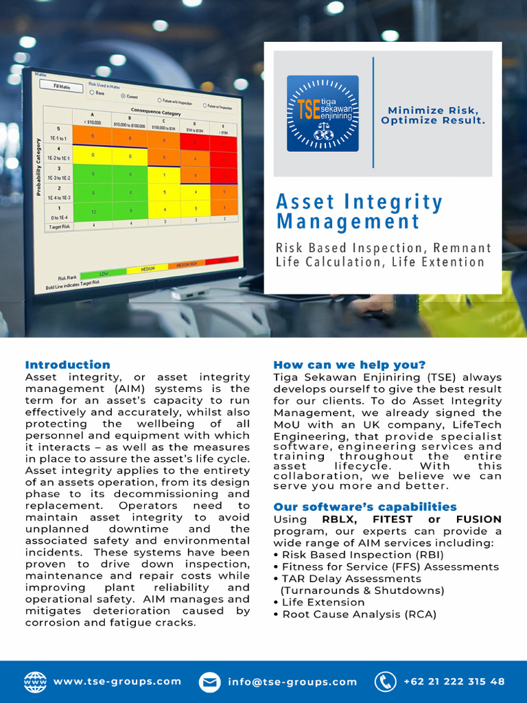 TSE Asset Integrity Management | PDF