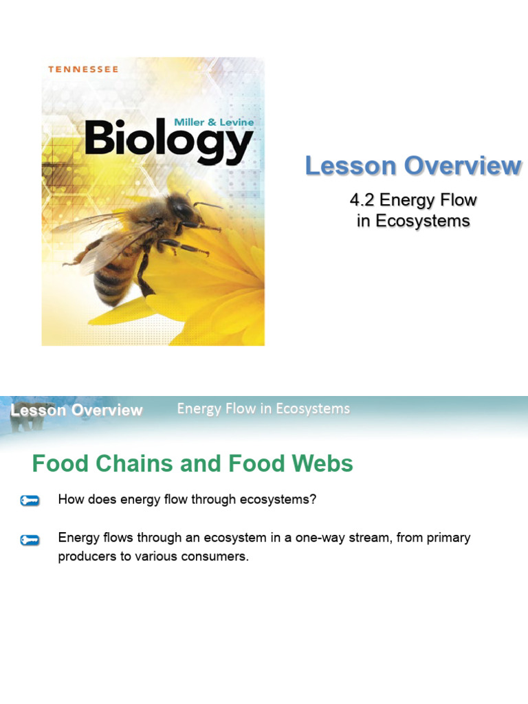 Bio Newchpt4sec2show | PDF | Food Web | Ecosystem