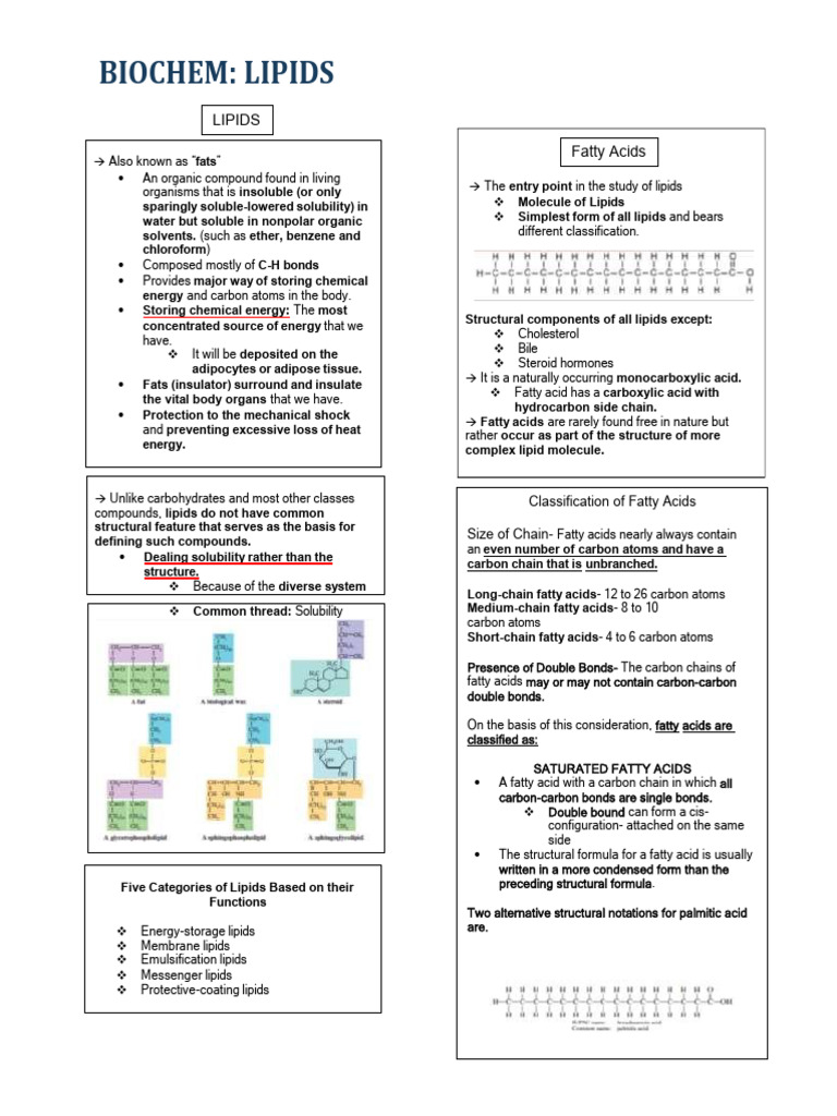 Lipids Notes | PDF | Triglyceride | Fatty Acid