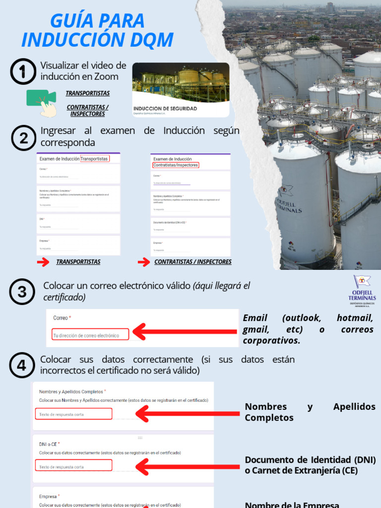 Guía para Inducción DQM | PDF