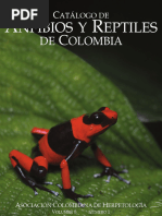 Rana Nodriza Niputidea (Allobates Niputidea) NaturaLista Colombia | PDF