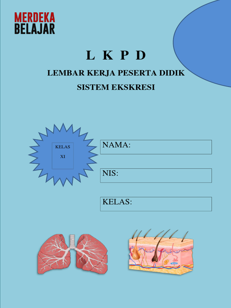 LKPD 2 Sistem Ekskresi (Kulit&paru-Paru) KLS Xi Sman 14 Bone | PDF | Komputer | Metode & Bahan Ajar