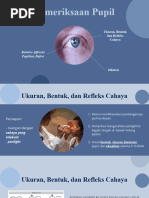 Ukuran Normal Pupil Mata | PDF