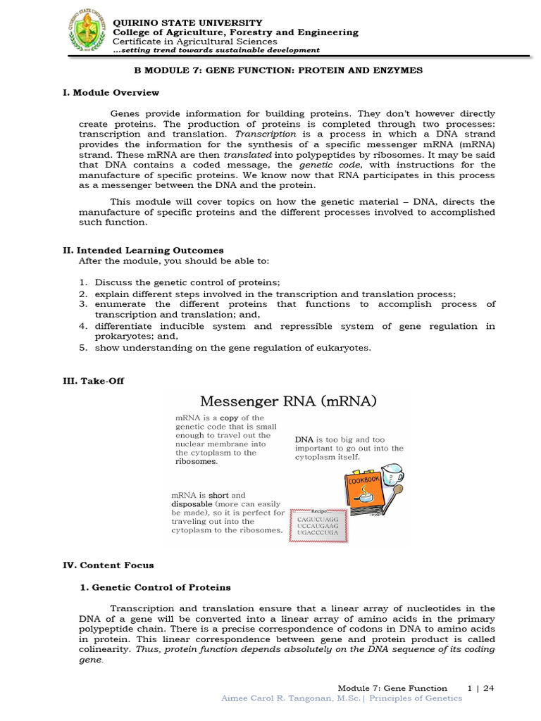 Module 1 | PDF | Operon | Translation (Biology)