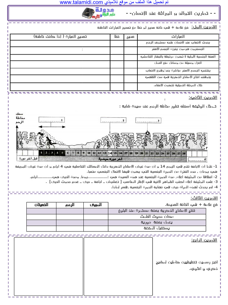 2AC SVT Exercice 02 | PDF