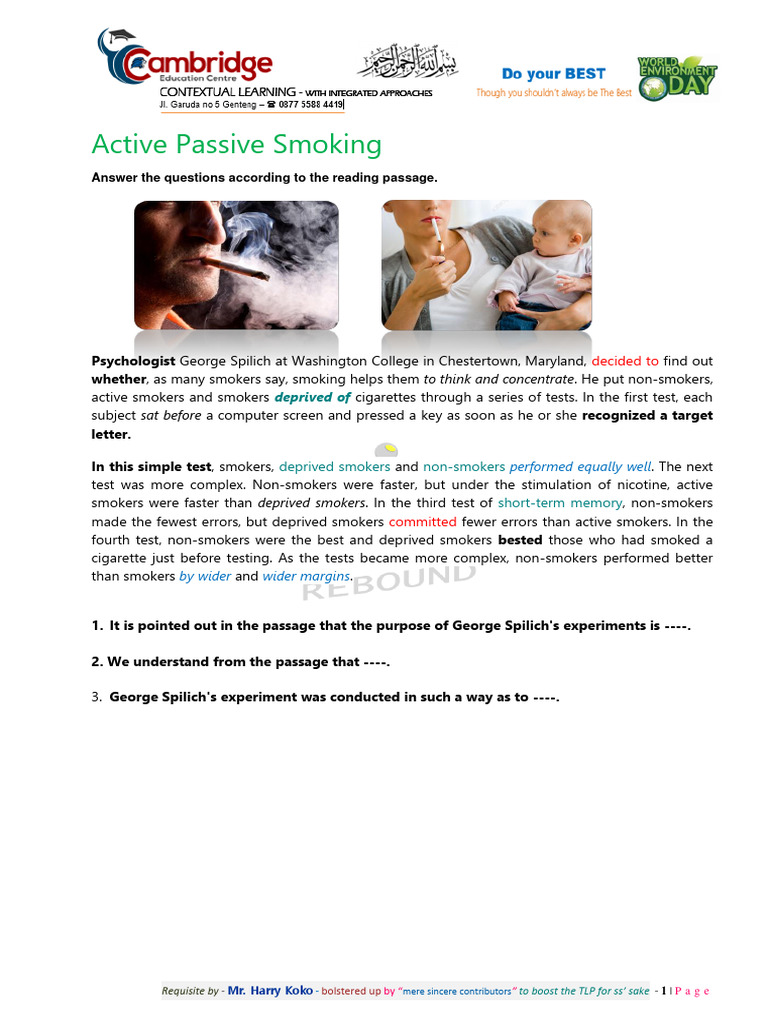 Smoking's Impact on Cognitive Tests | PDF
