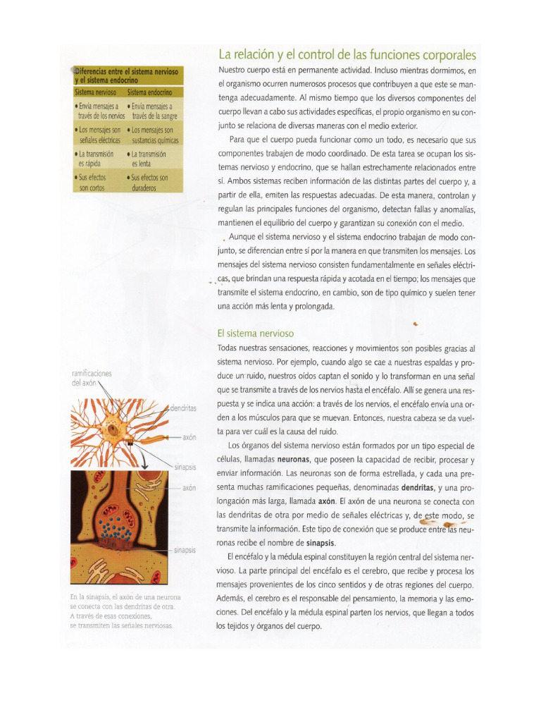 7b2 (Recuperado) | PDF