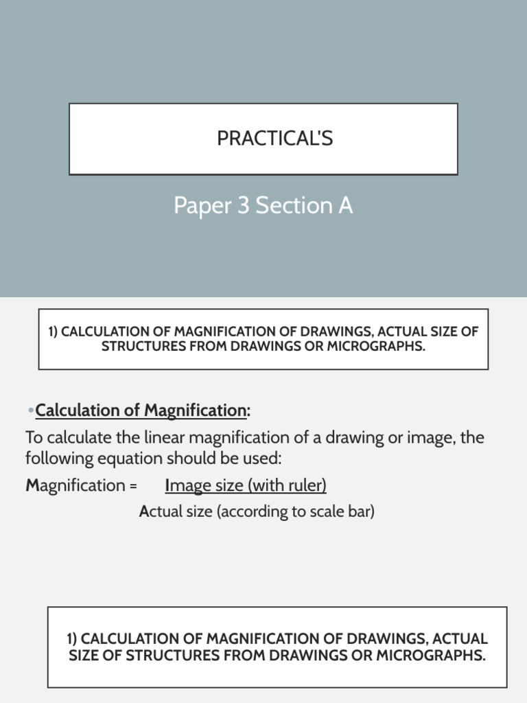 Ib Biology Practicals | PDF | Chromatography | Breathing