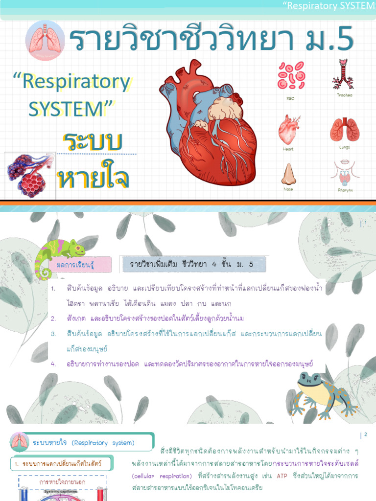 Slide Respiratory System 2 Pdf