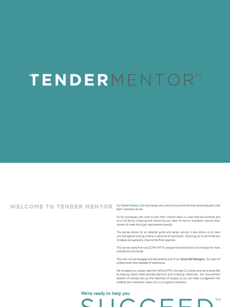Tender Bid Mentoring Service | PDF | Procurement | Business