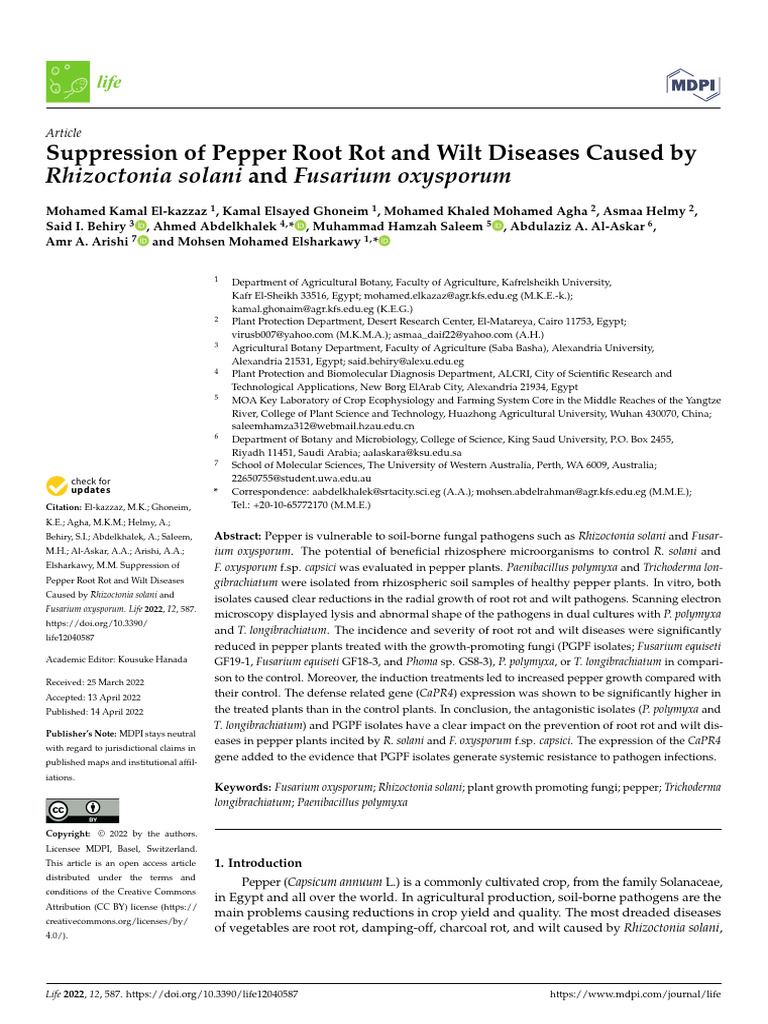 Suppression of Pepper Root Rot and Wilt Diseases Caused by Rhizoctonia ...