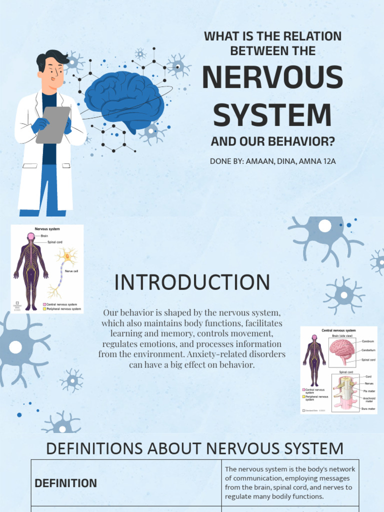 Learn More About The Nervous System by Slidesgo | PDF | Nervous System ...