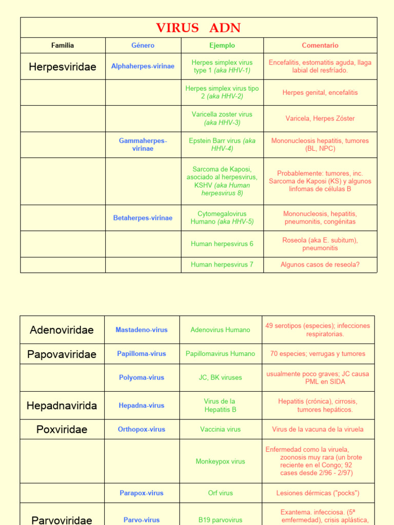 Clasificación de Virus ADN y ARN | PDF | Virus | Hepatitis