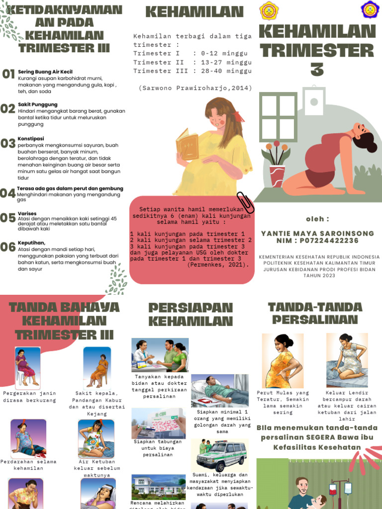 Leaflet Kehamilan Tm3-Yantie Maya | PDF | Kesehatan Holistik